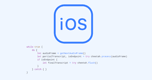 Offline Speech-to-Text Features - Picovoice