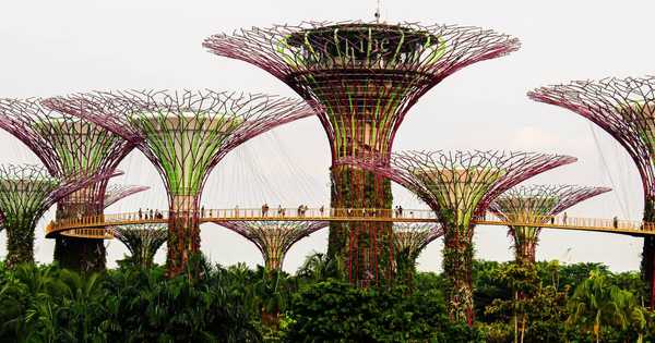 Speech Recognition for Language Learning | Picovoice